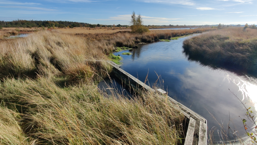 Climate-Resilient Design of Stream Valleys - World Water Academy